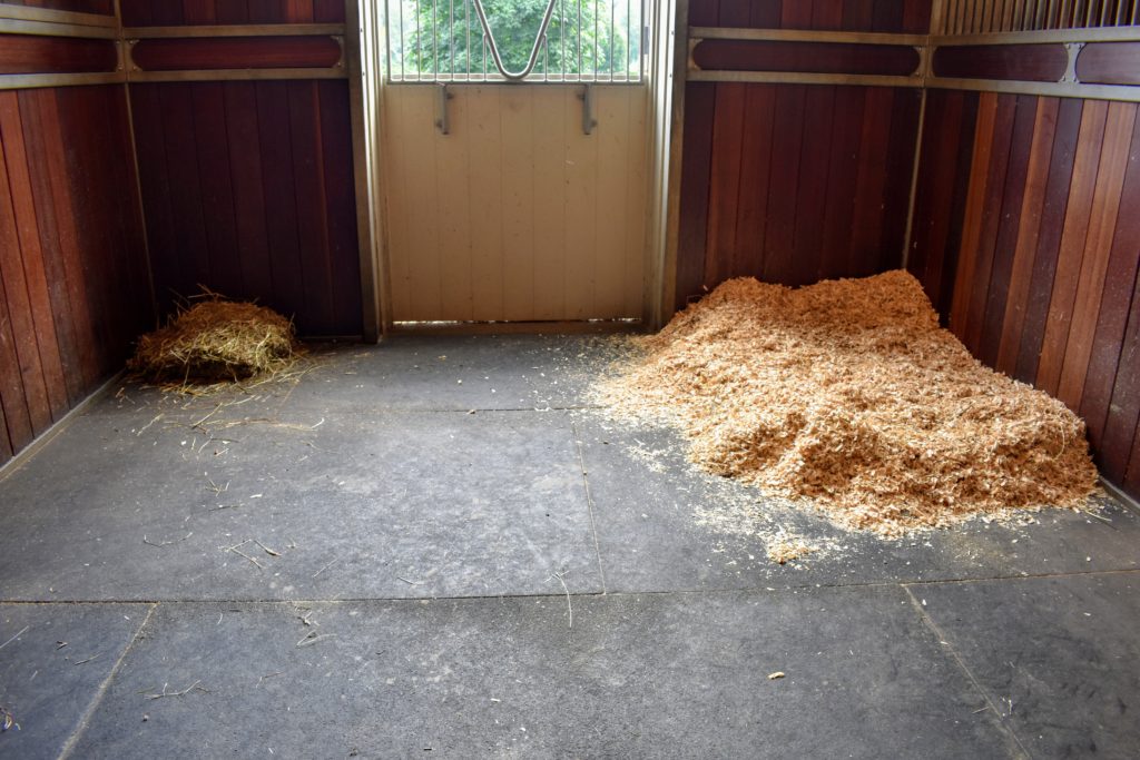 My Stable Gets a Thorough Cleaning - The Martha Stewart Blog