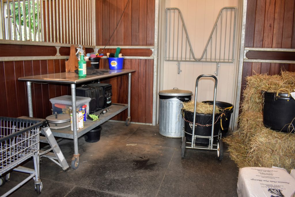 My Stable Gets a Thorough Cleaning - The Martha Stewart Blog