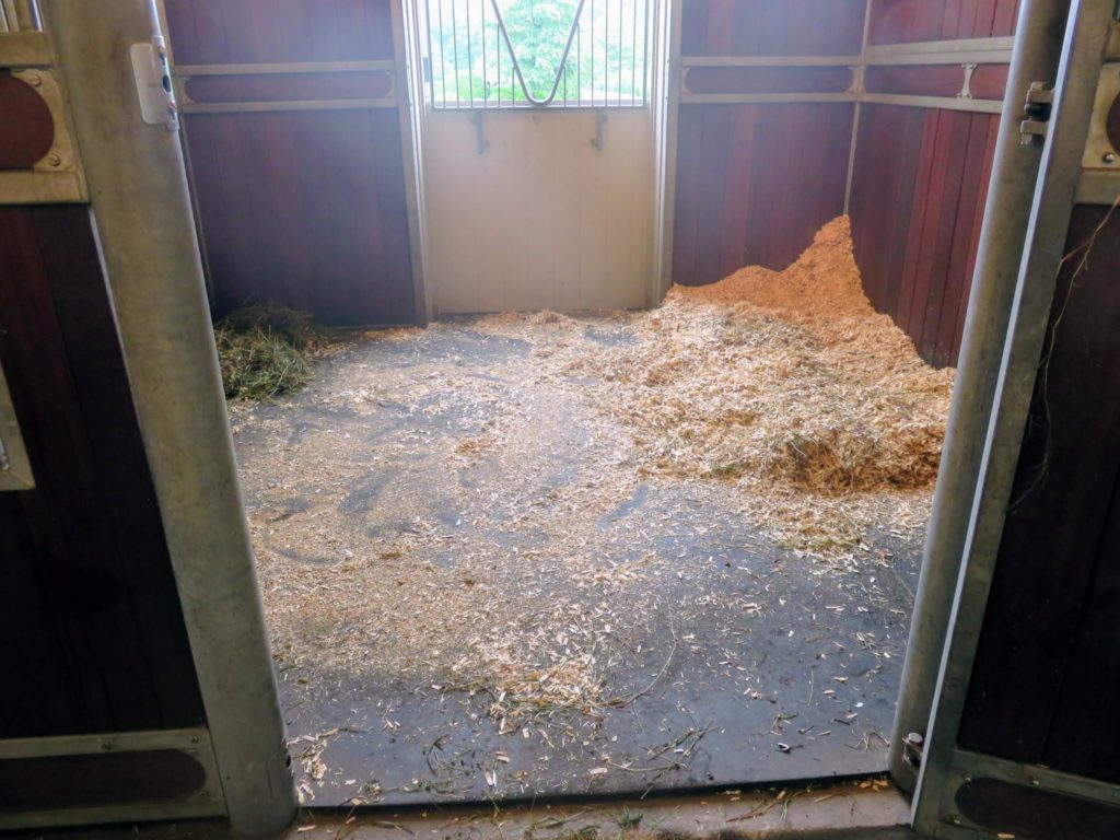 My Stable Gets a Thorough Cleaning - The Martha Stewart Blog