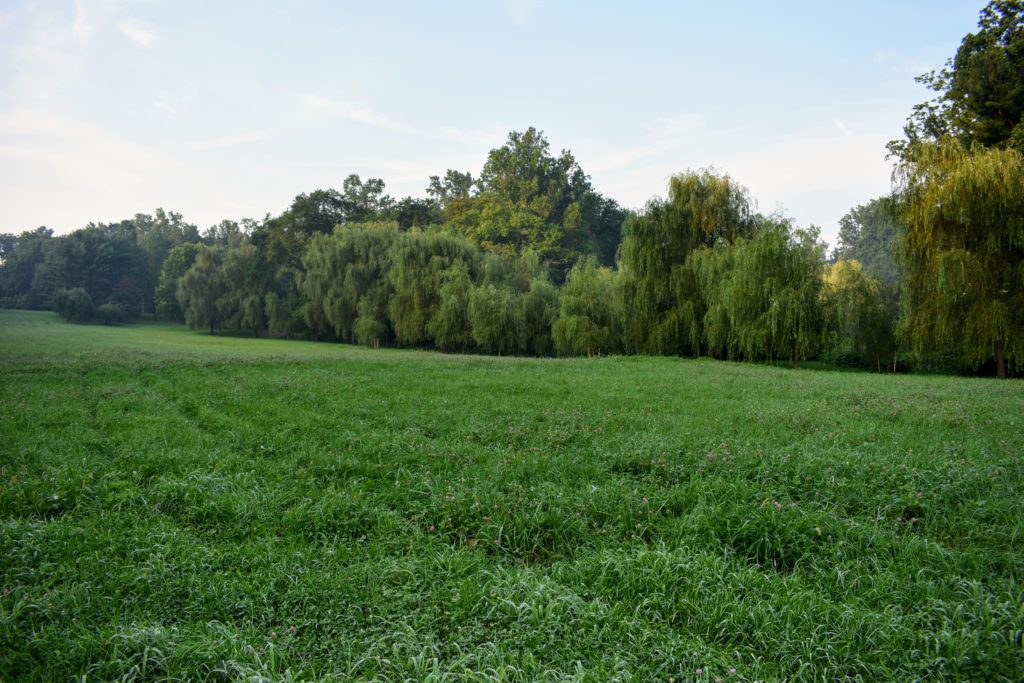 Adding Agricultural Lime to My Hayfields - The Martha Stewart Blog