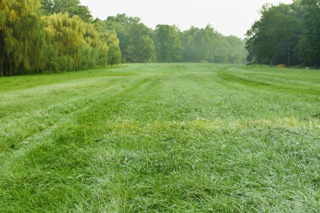 Adding Agricultural Lime to My Hayfields - The Martha Stewart Blog