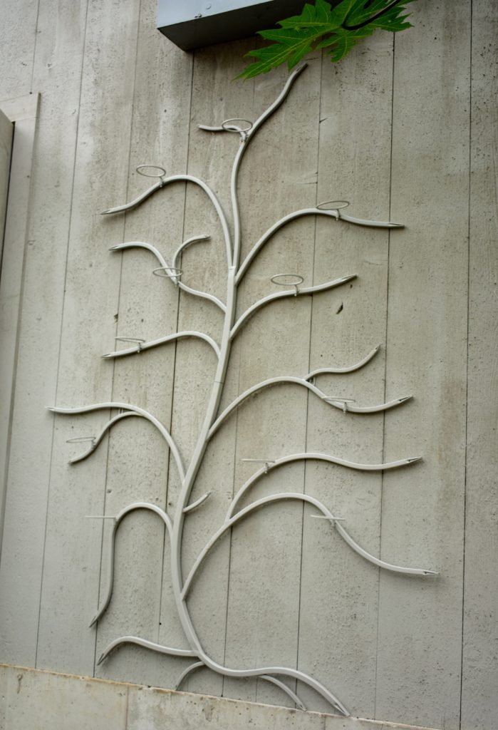 Hanging Metal Wall Trees from My Collection on QVC - The Martha Stewart ...