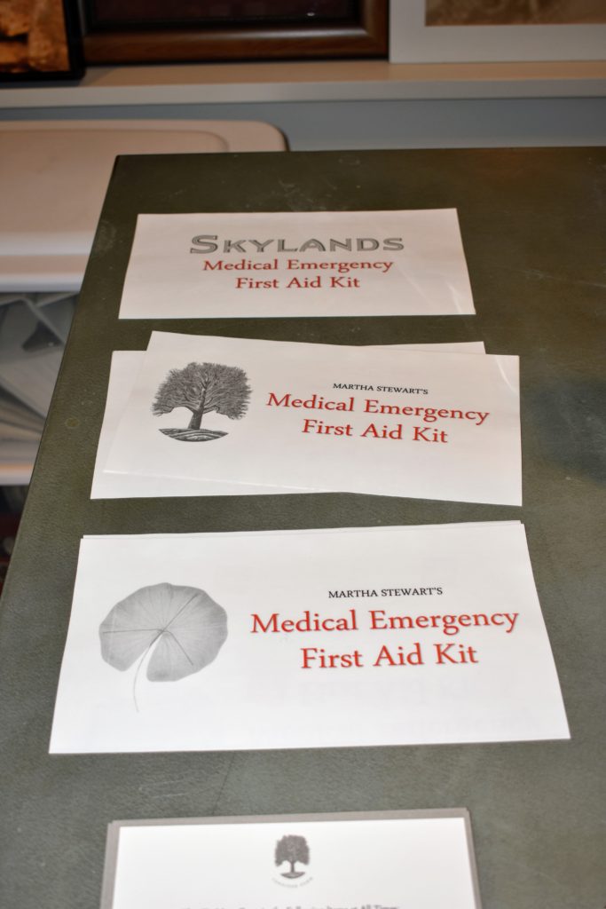 Putting Together A Home First Aid Kit - The Martha Stewart Blog