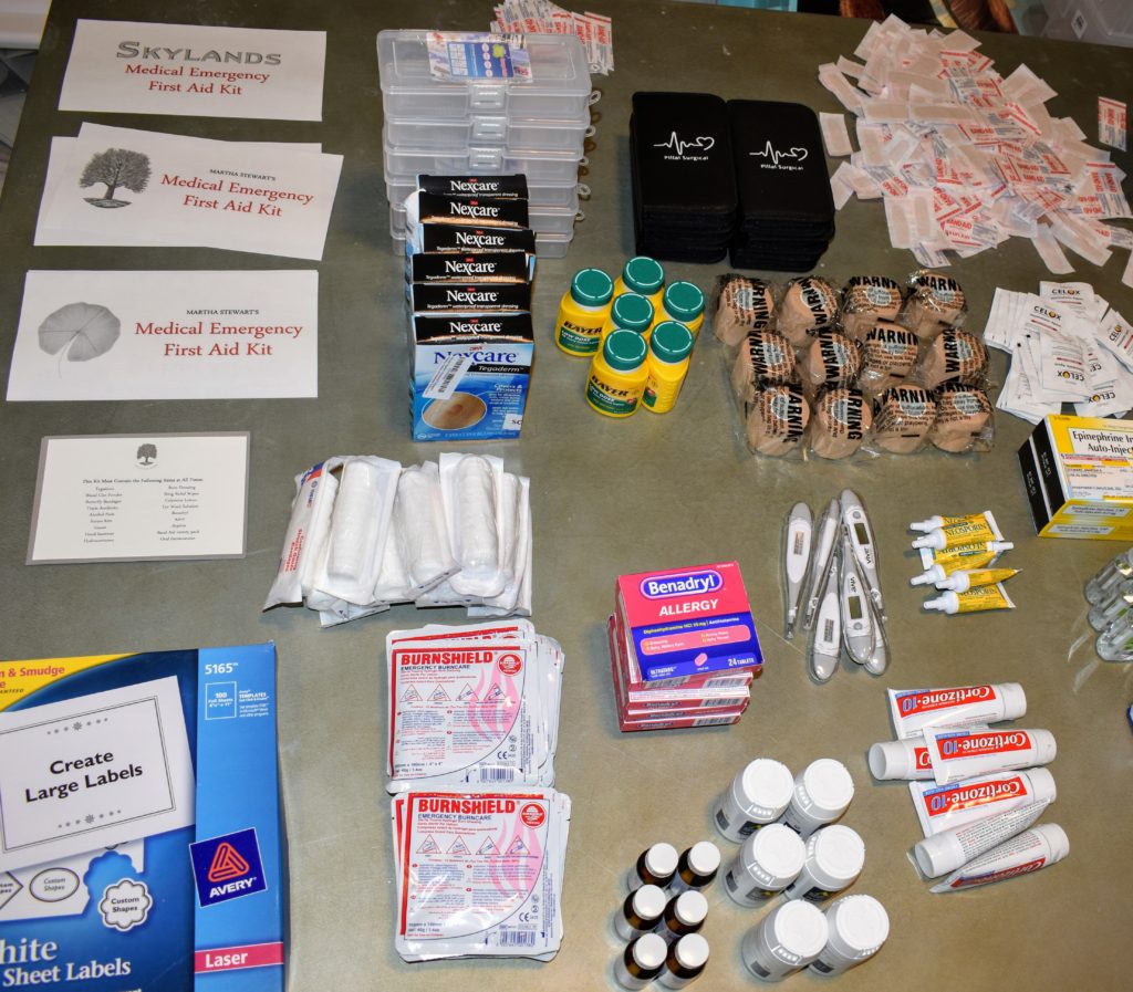 Putting Together A Home First Aid Kit - The Martha Stewart Blog