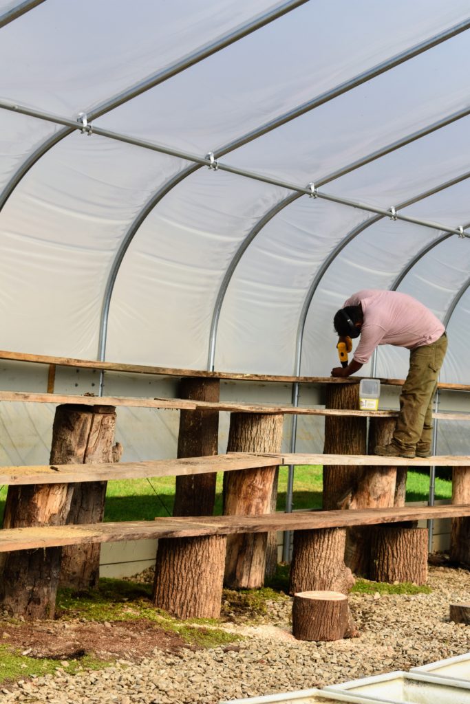 Preparing My Hoop Houses for Winter - The Martha Stewart Blog