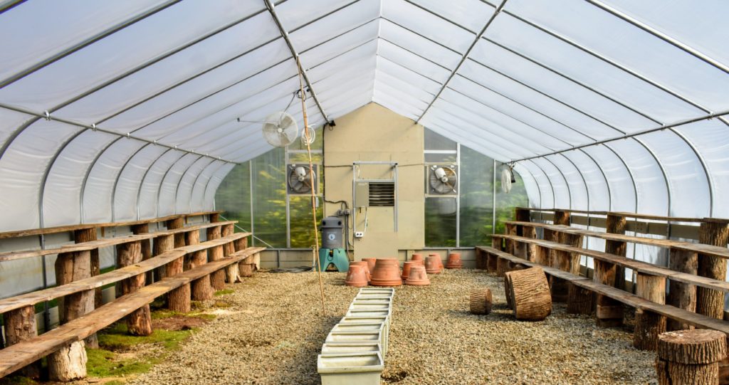 Preparing My Hoop Houses for Winter - The Martha Stewart Blog