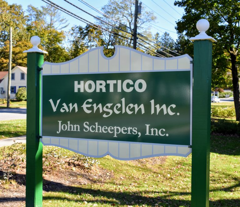 Spring Blooming Bulbs from Van Engelen, Inc. - The Martha Stewart Blog