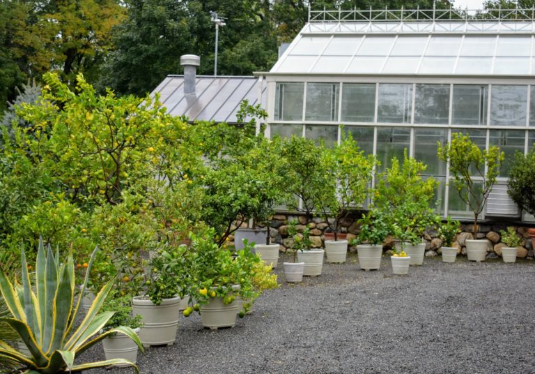 An Early Fall Garden Tour - The Martha Stewart Blog