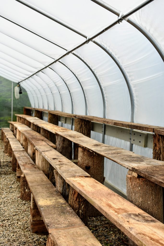 Preparing My Hoop Houses for Winter - The Martha Stewart Blog