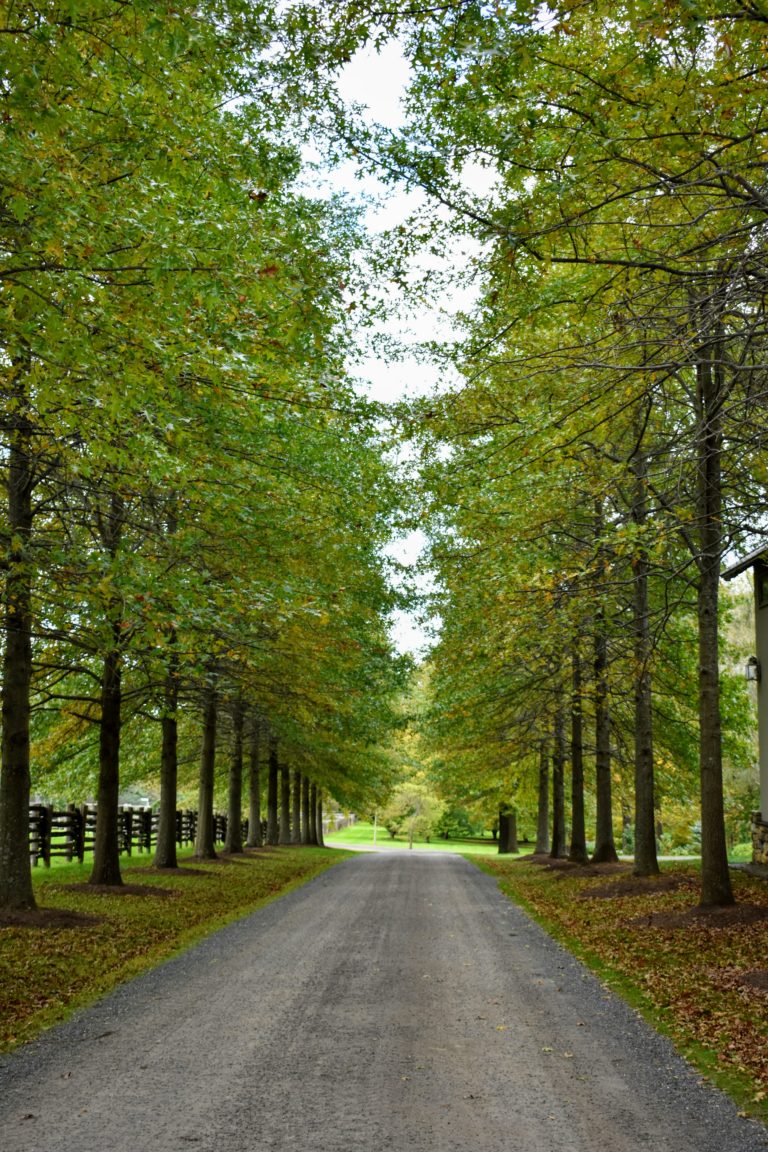 Autumn Colors at My Farm - The Martha Stewart Blog