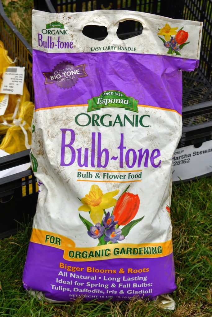 Planting More Bulbs in My Pergola Garden and Around the Farm - The ...