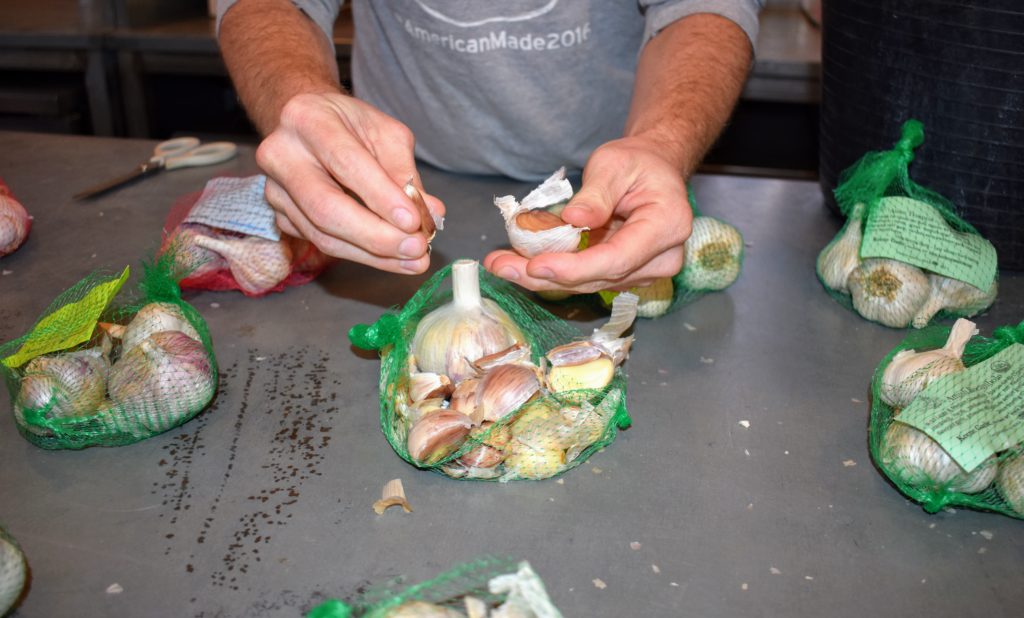 Planting the Next Crop of Garlic at My Farm - The Martha Stewart Blog