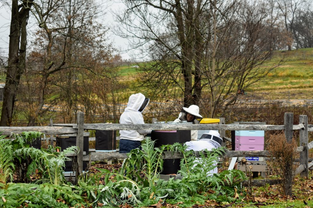 Blog Memories: Visiting Stone Barns Center for Food & Agriculture - The ...