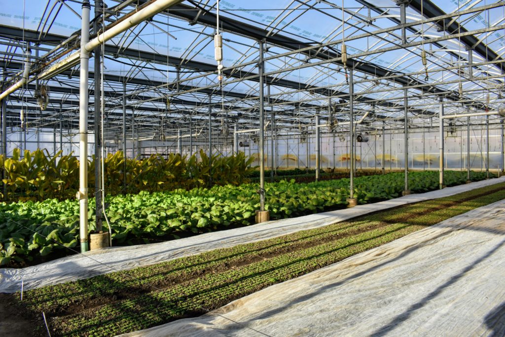 Visiting Stone Barns Center for Food & Agriculture - The Martha Stewart ...