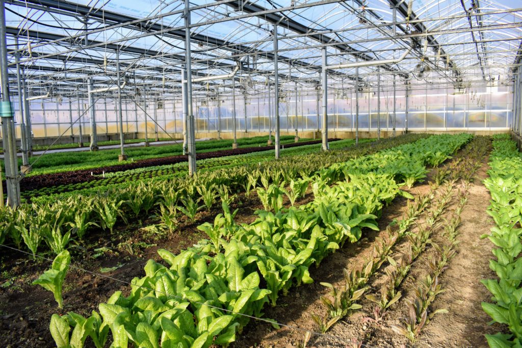 Visiting Stone Barns Center for Food & Agriculture - The Martha Stewart ...