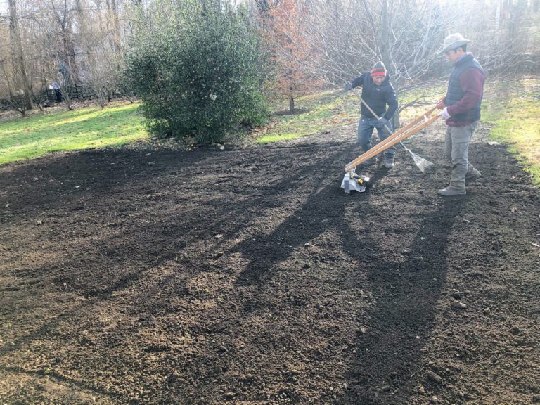 Planting the Next Crop of Garlic at My Farm - The Martha Stewart Blog