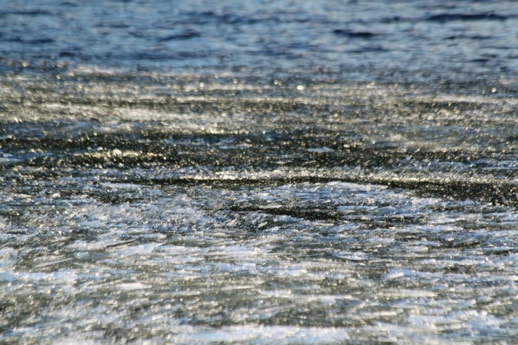 The Martha Stewart Blog : Blog Archive Winter Images from Maine - The ...