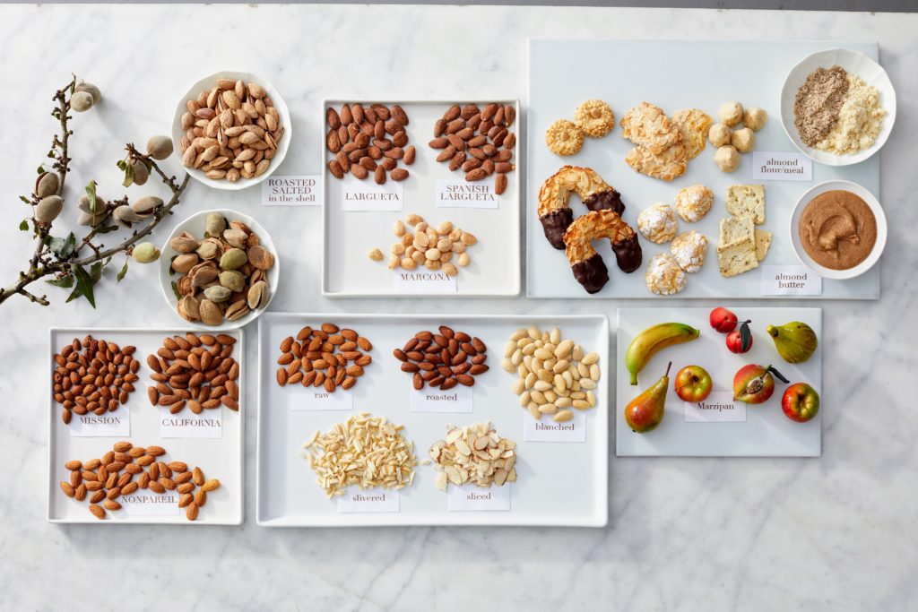 Season-11 of "Martha Bakes" Premieres on PBS - The Martha Stewart Blog