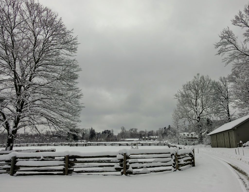 An Early March Snowstorm - The Martha Stewart Blog