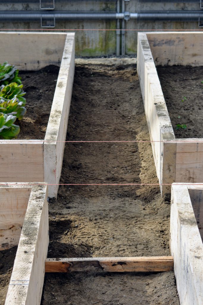 Building Planter Boxes for My Vegetable Greenhouse - The Martha Stewart ...