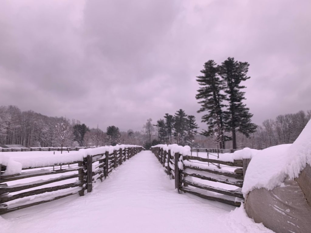 An Early March Snowstorm - The Martha Stewart Blog