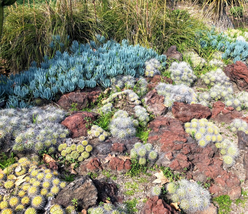 The Huntington: Library, Art Collections and Botanical Gardens - The ...