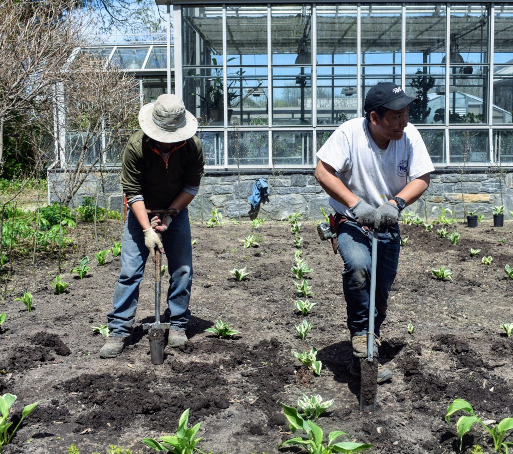 The Martha Stewart Blog : Blog Archive Planting Bulbs in a New Garden ...