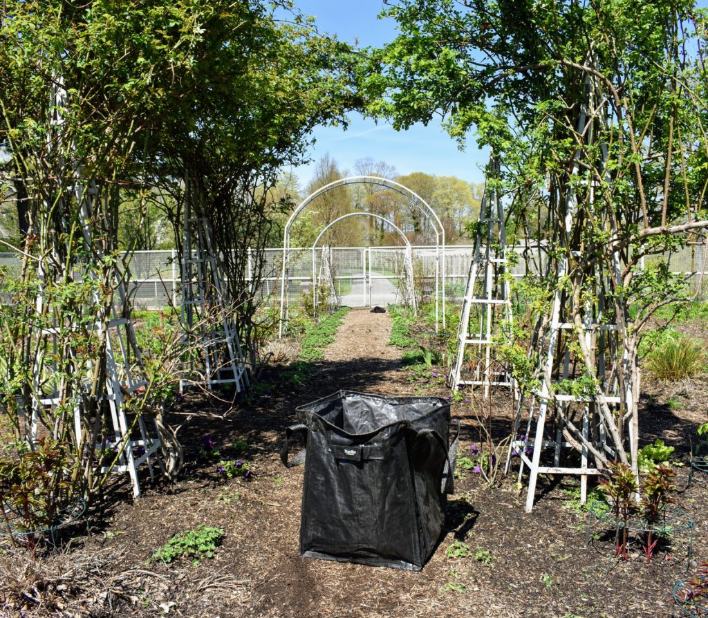 The Martha Stewart Blog : Blog Archive Planting Bulbs in a New Garden ...