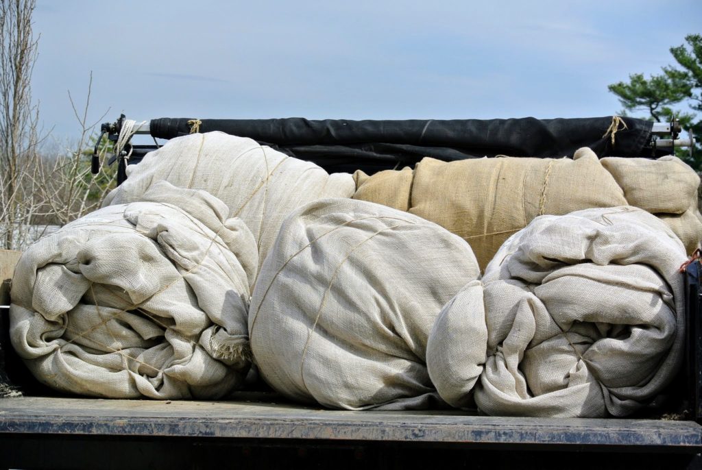 Removing Burlap Around the Farm - The Martha Stewart Blog