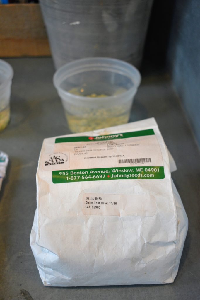 Preparing and Planting Peas - The Martha Stewart Blog