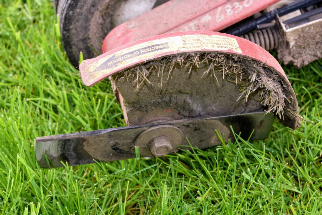 Edging the Carriage Roads Around the Farm - The Martha Stewart Blog