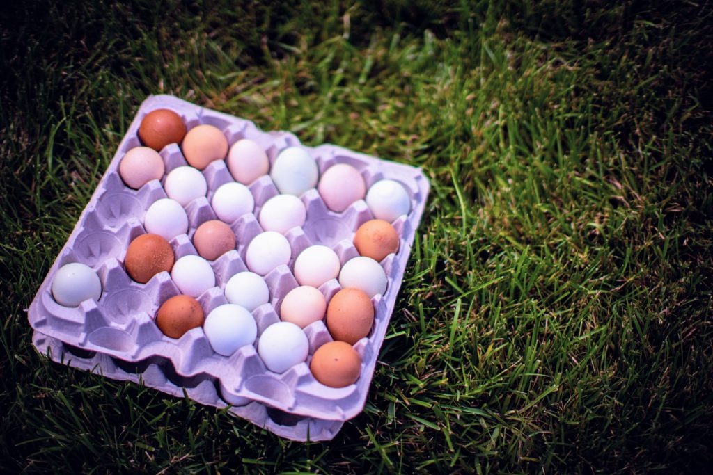 Summer Outing Games at My Farm - The Martha Stewart Blog