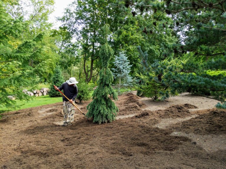 Pinetum Maintenance - The Martha Stewart Blog