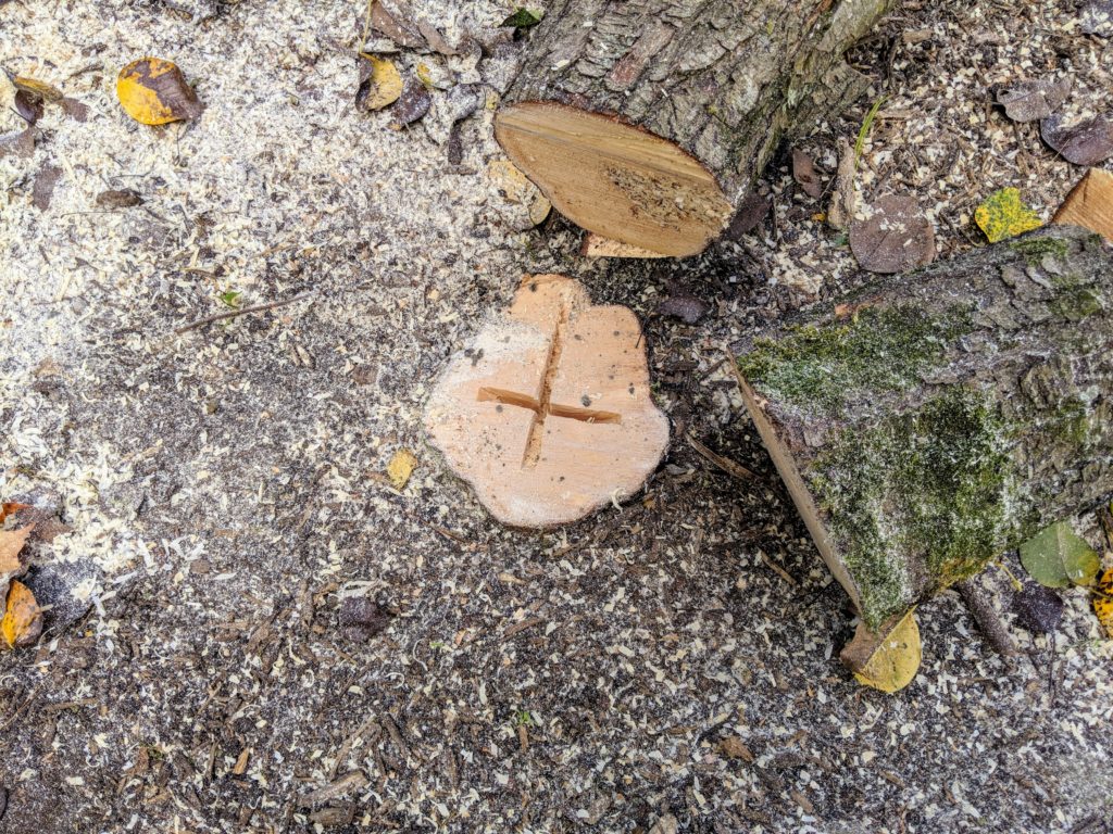 Cutting Down Pear Trees - The Martha Stewart Blog