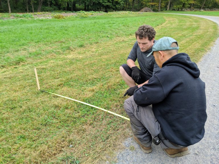 Creating a New Allee at My Farm - The Martha Stewart Blog