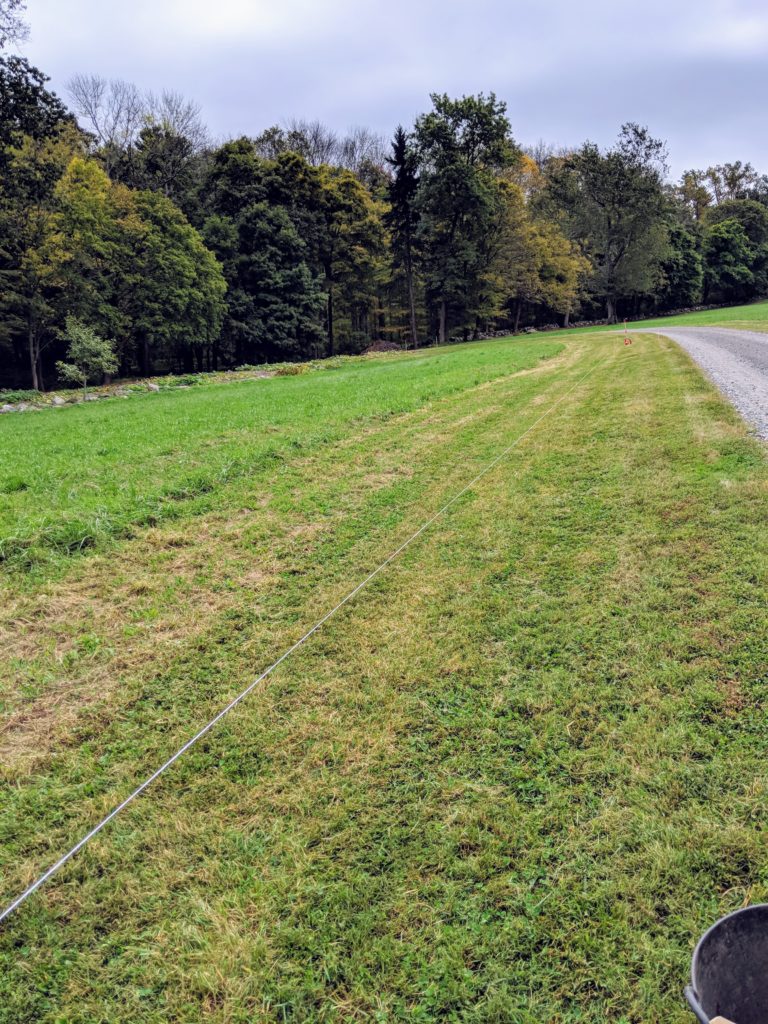 Creating a New Allee at My Farm - The Martha Stewart Blog