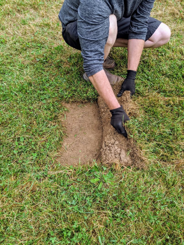 Creating a New Allee at My Farm - The Martha Stewart Blog