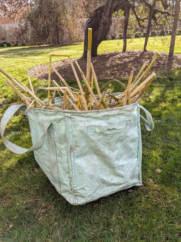 Harvesting Broom Corn - The Martha Stewart Blog
