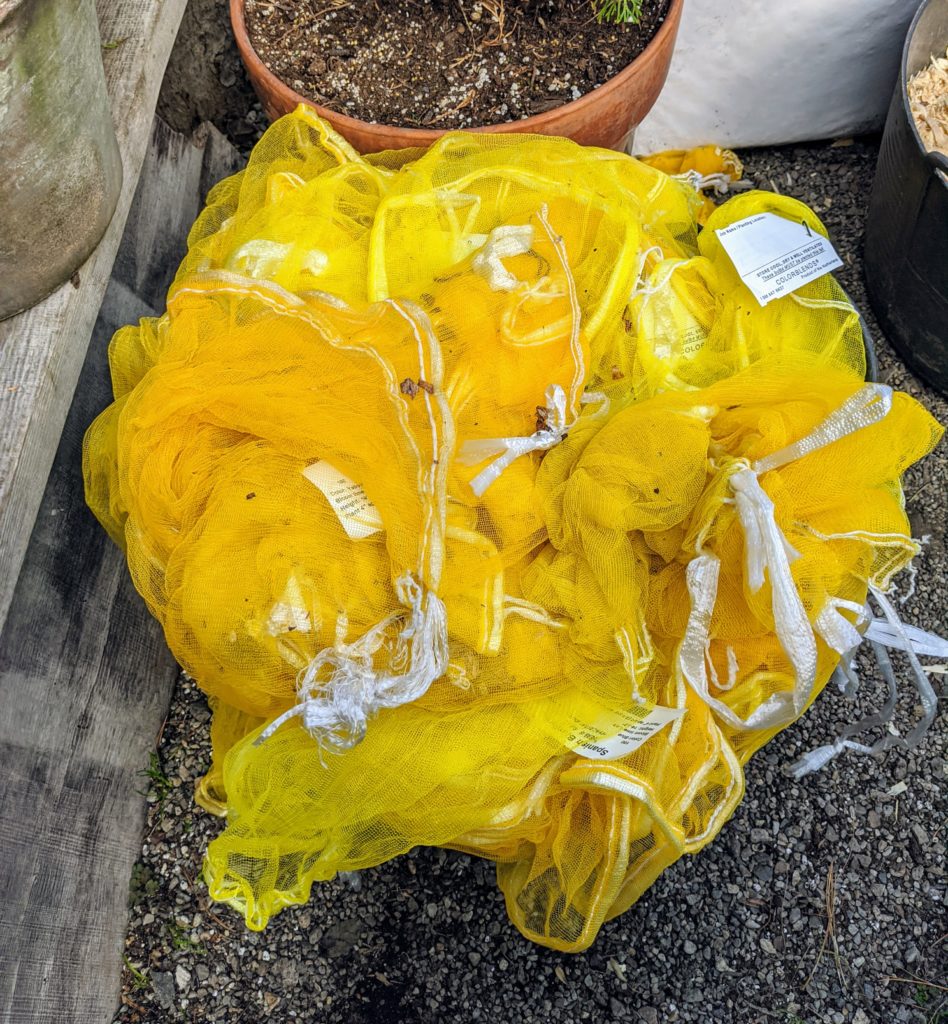 Storing Dahlia Tubers for Winter - The Martha Stewart Blog