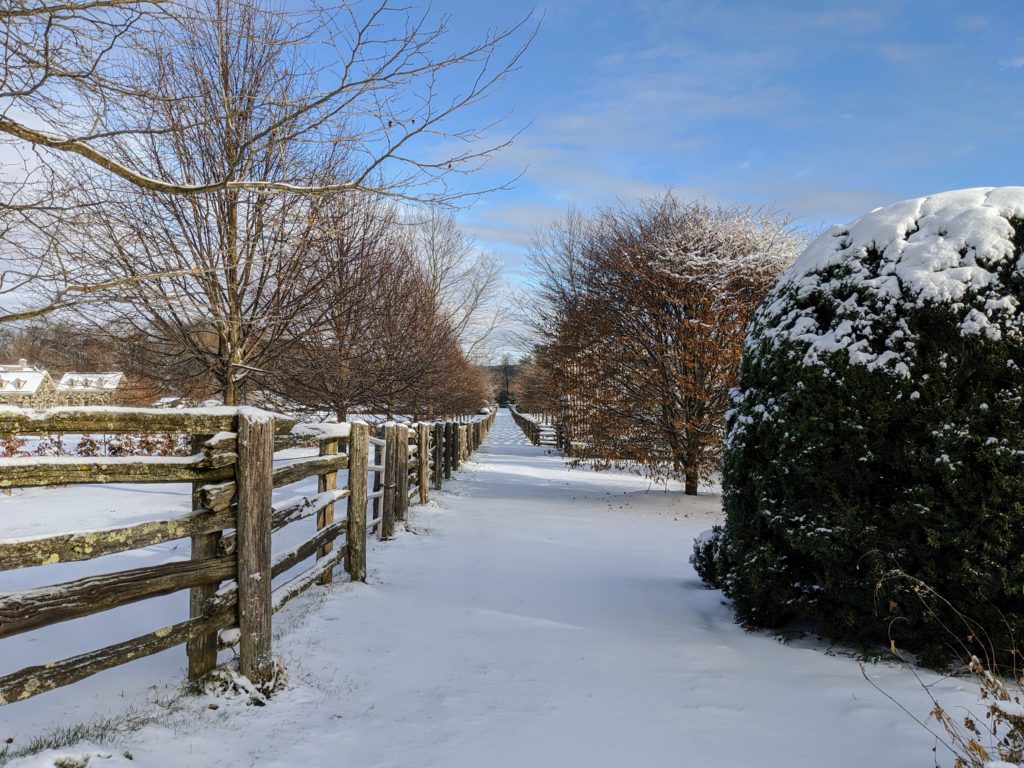 The Season's First Snow at My Farm - The Martha Stewart Blog