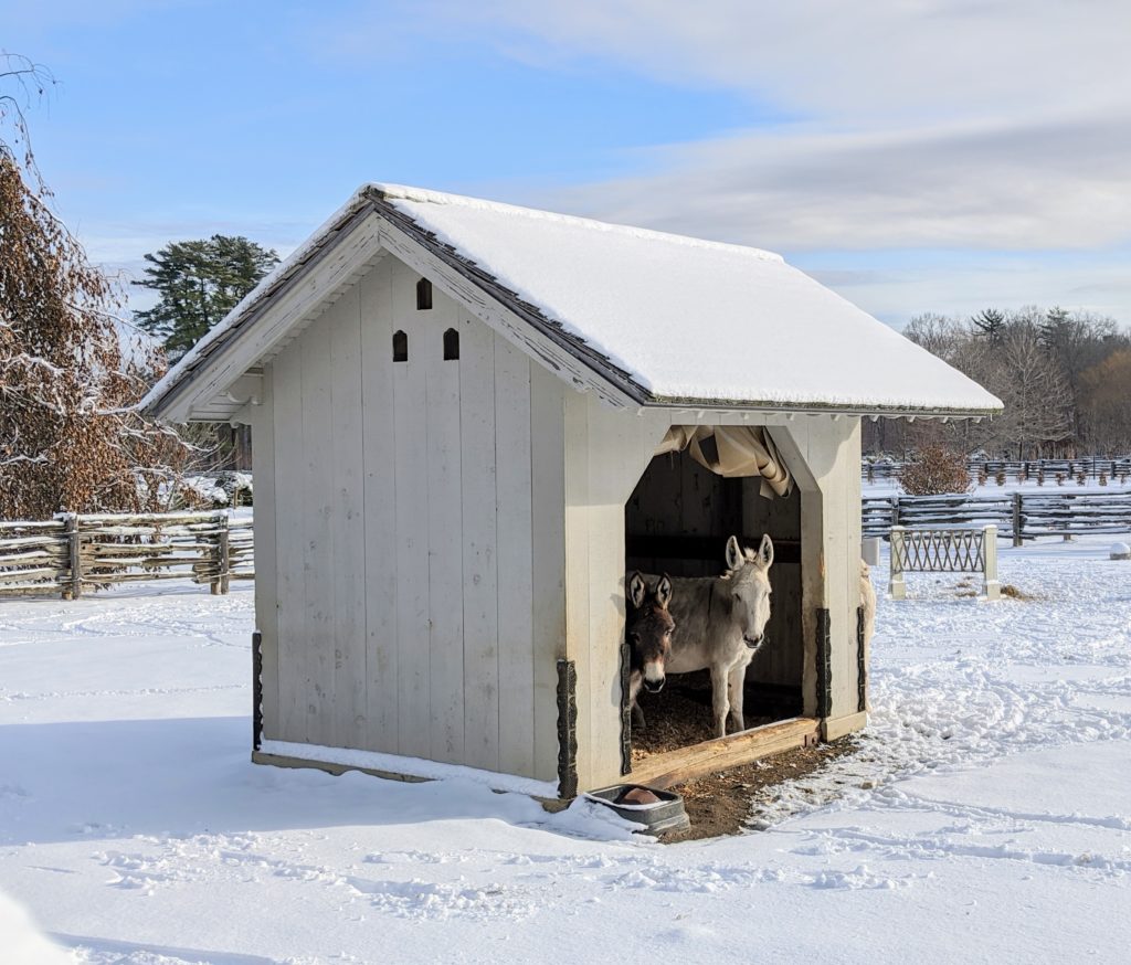 The Season's First Snow at My Farm - The Martha Stewart Blog