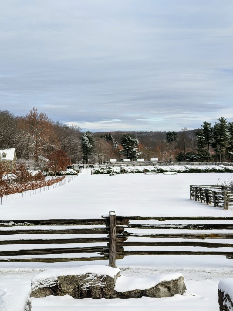 The Season's First Snow at My Farm - The Martha Stewart Blog