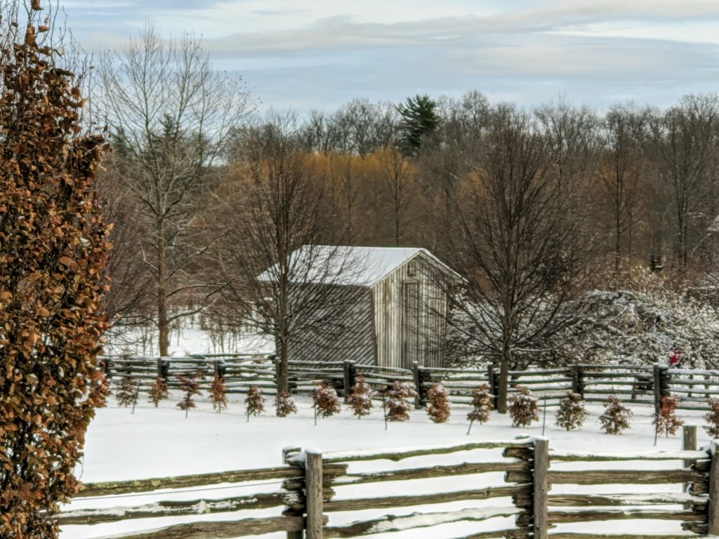 The Season's First Snow at My Farm - The Martha Stewart Blog