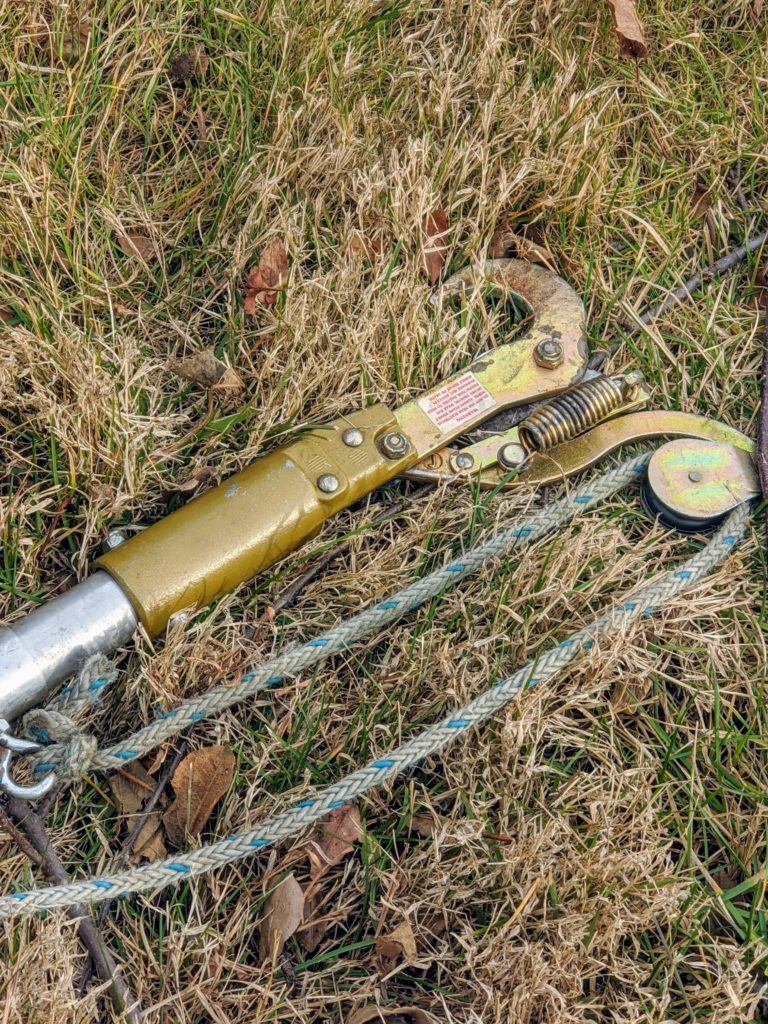 The Martha Stewart Blog : Blog Archive Pruning Apple Trees - The Martha ...