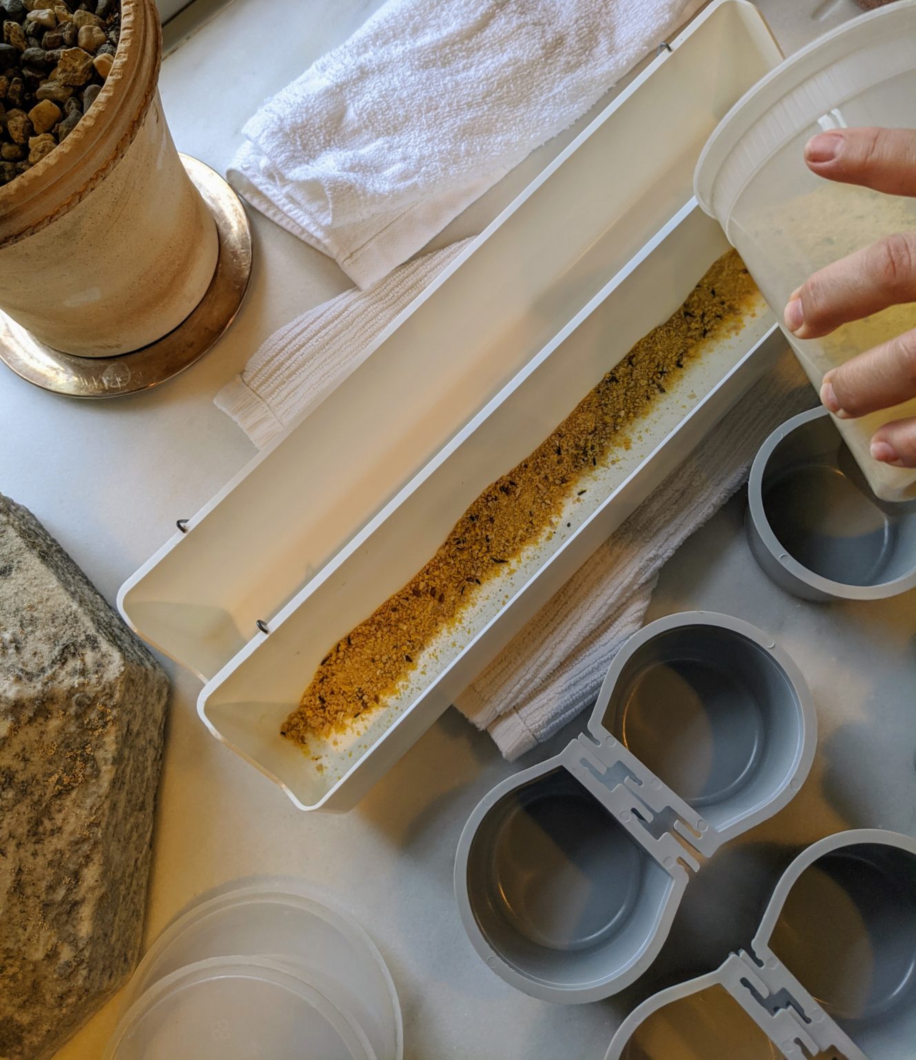 My Growing Flock of Red Factor Canaries - The Martha Stewart Blog