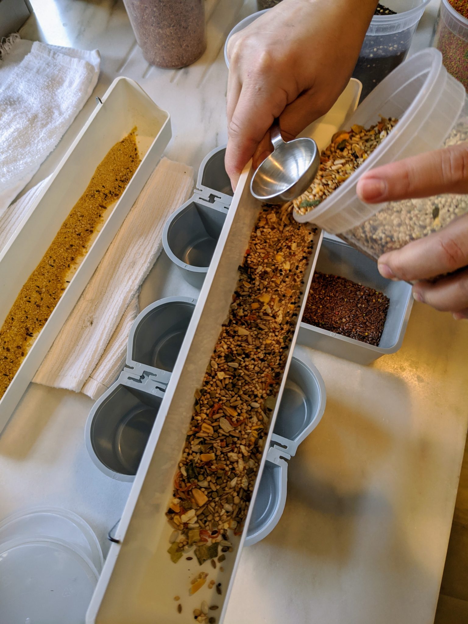 My Growing Flock of Red Factor Canaries - The Martha Stewart Blog