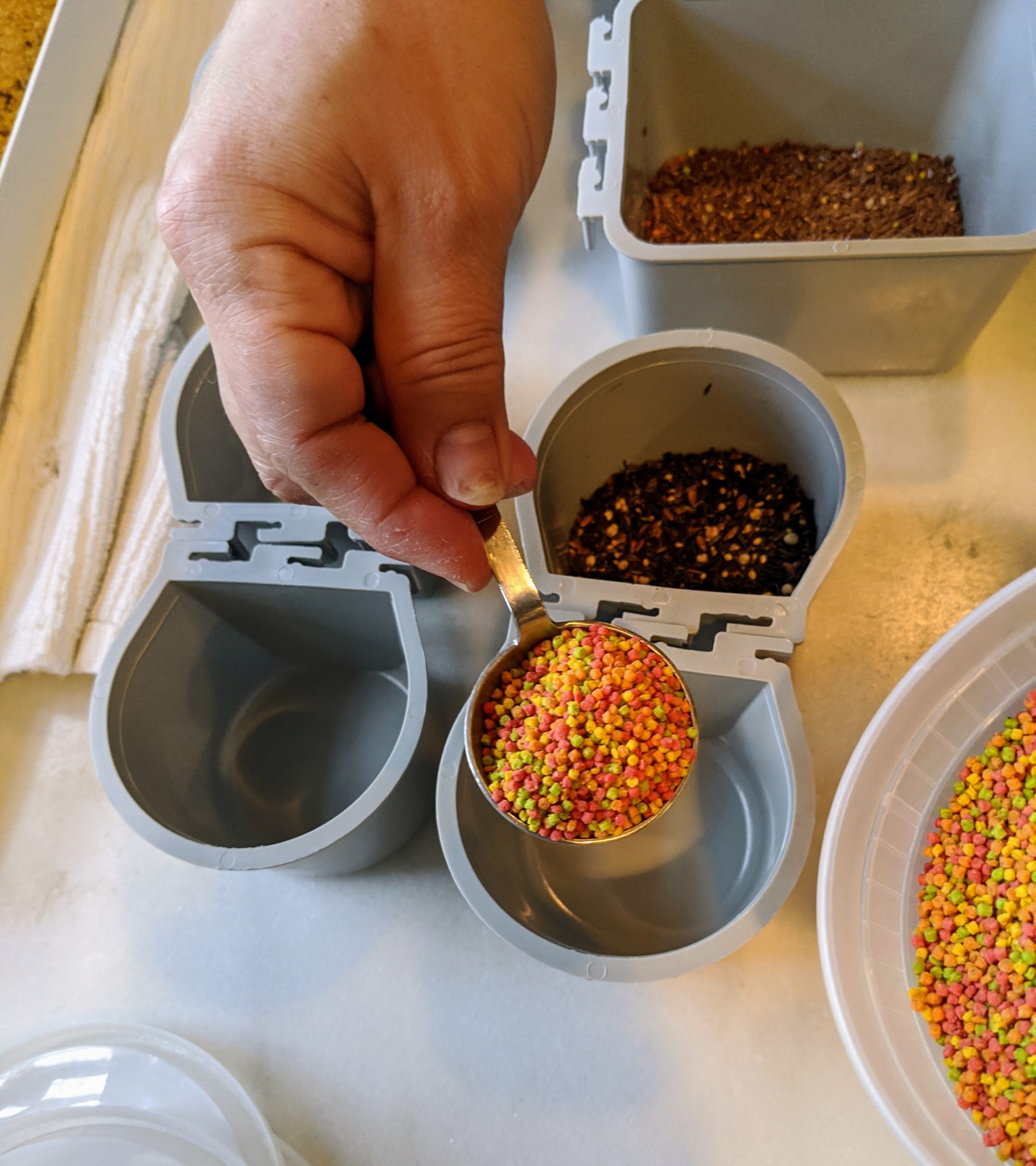 My Growing Flock of Red Factor Canaries - The Martha Stewart Blog