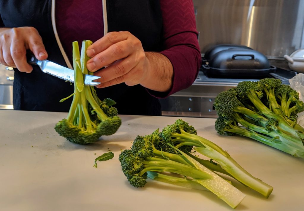 My Growing Flock of Red Factor Canaries - The Martha Stewart Blog