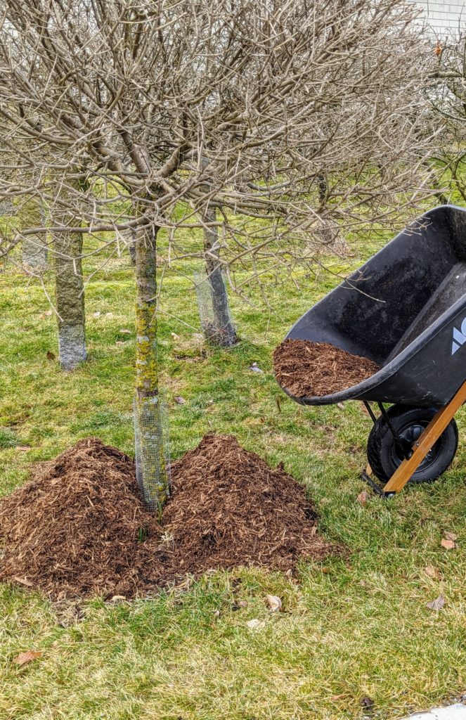 The Martha Stewart Blog : Blog Archive Mulching Around the Farm - The ...