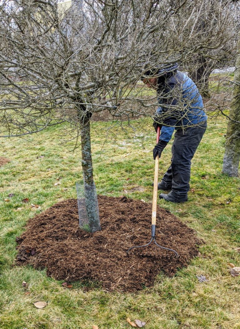 Mulching Around the Farm - The Martha Stewart Blog
